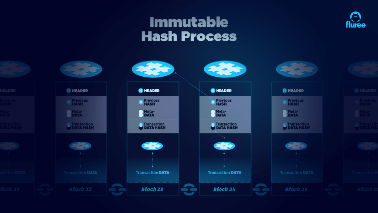 What is an Immutable Database? - Fluree